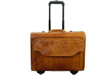 Pilot cases and trolleys made of leather | BARON of MALTZAHN